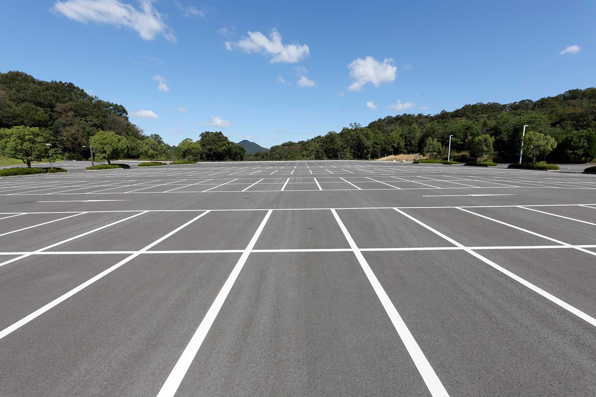 Parking Lot - Team Cam